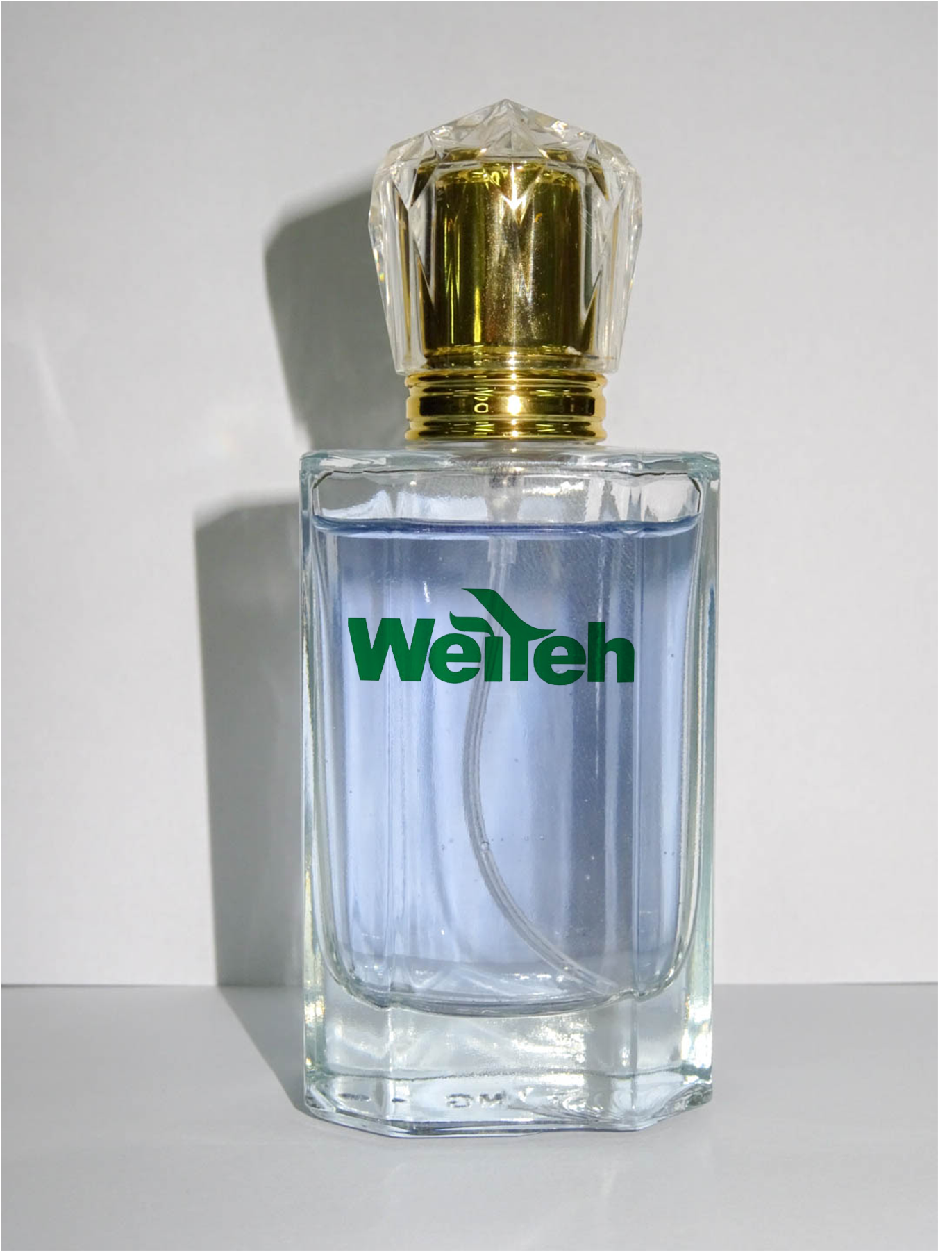 WEI TEH FLAVOUR&FRAGRANCE BIOTECH (THAI) CO.,LTD.